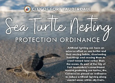 Sea Turtle Lighting Info That Helps Saves Turtles And Money
